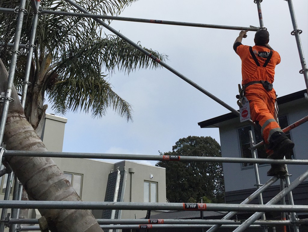 Re-righting massive palm trees blown over in a storm - Able Scaffolding